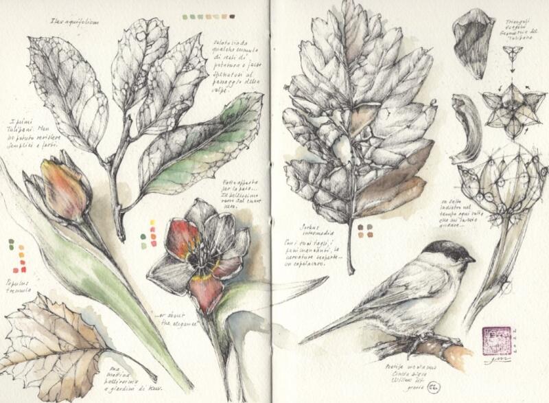 Tour: Botanical Sketching and Watercolour in Nature · artistravel ...