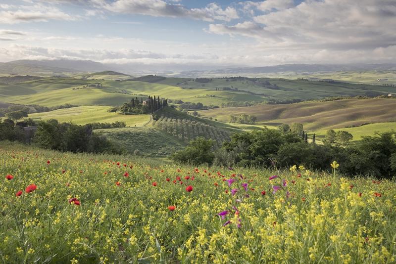 Tour: Tuscany Spring Photo Tour · artistravel-international.com